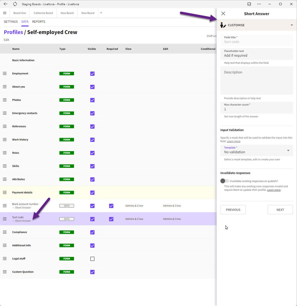 Input Validation - Masking Data