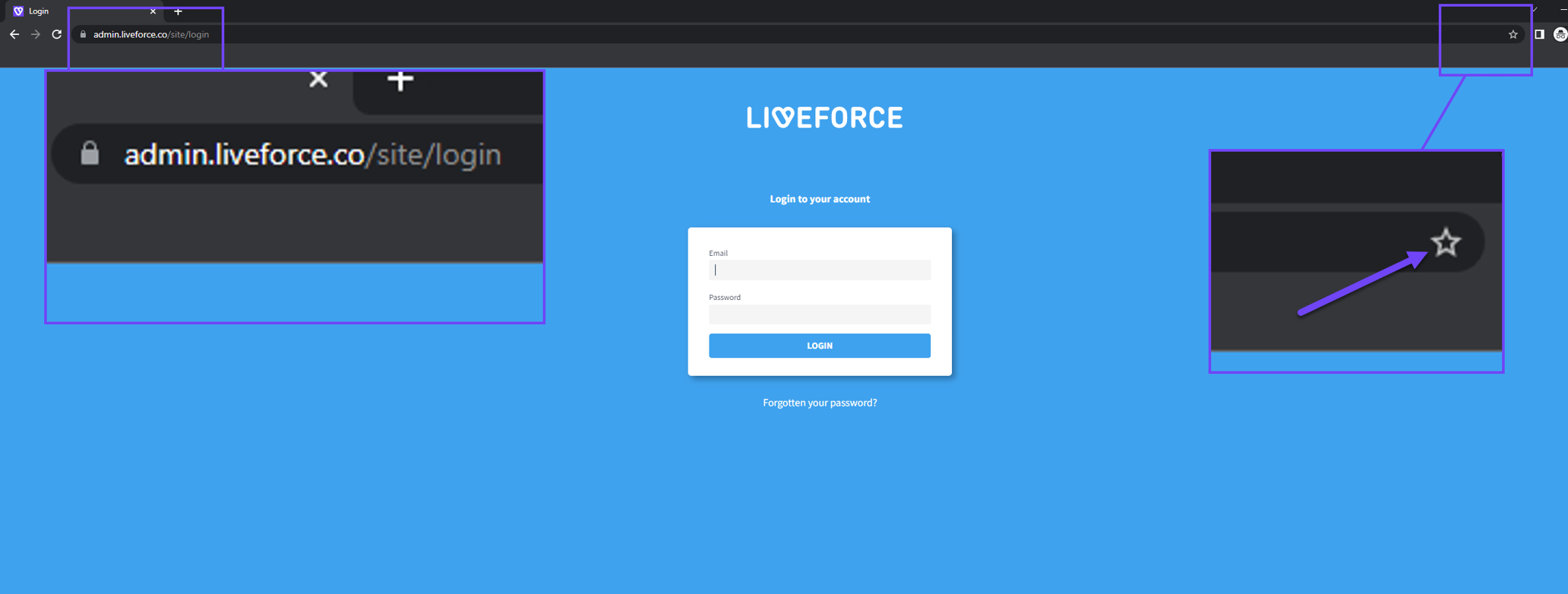 Setting up your Account